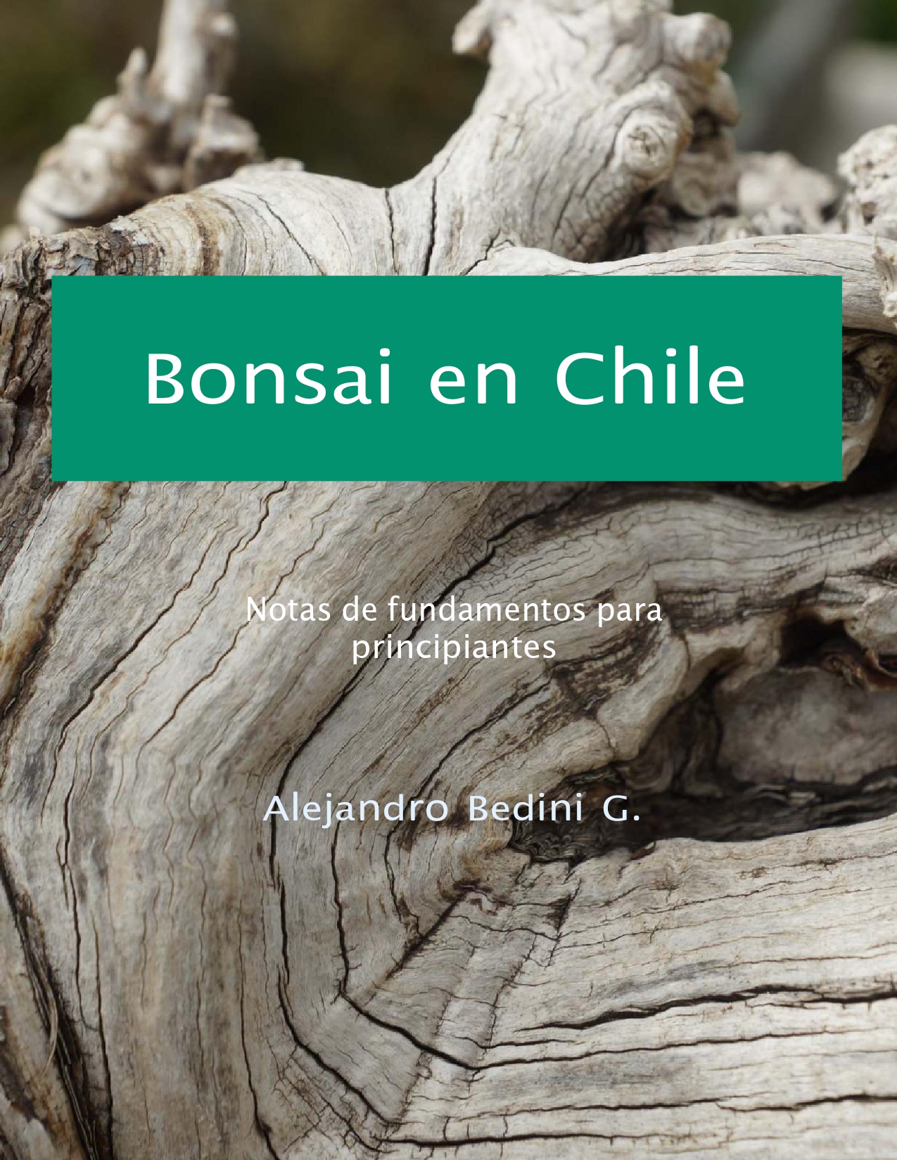 Libro Bonsai Chile – Siempre hay una aventura